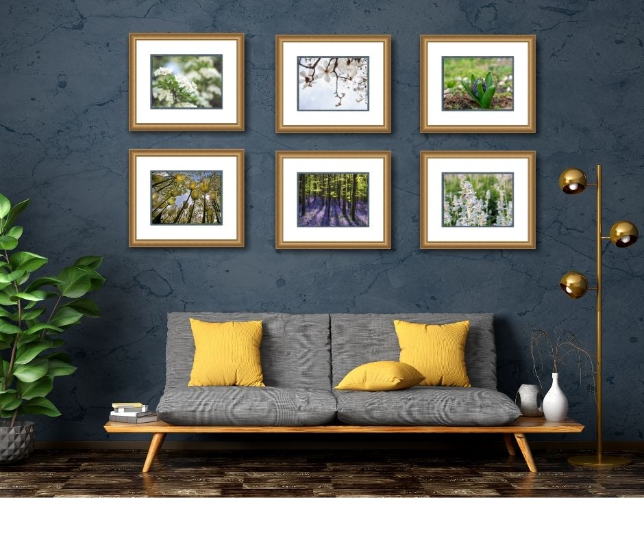 Spring_flowers - FastFrame Spring_flowers - FastFrame