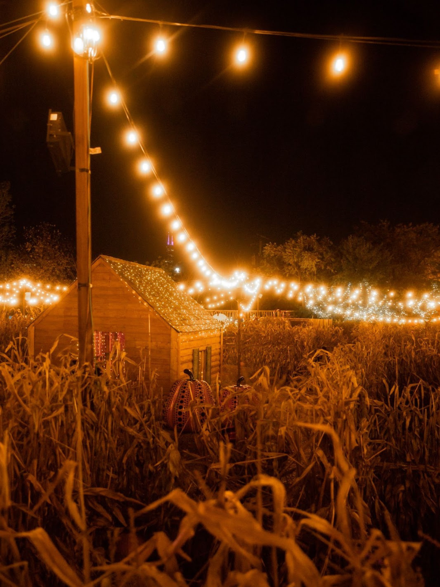 6 Fun Fall Activities for Fabulous Photos – FastFrame