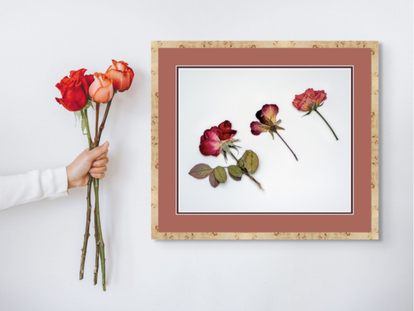 How to Frame Pressed Flowers: 5 Easy Tips – FastFrame