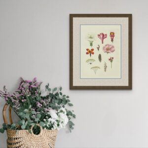 What Frame Color is Best for Your Art? The Ultimate Guide – FastFrame